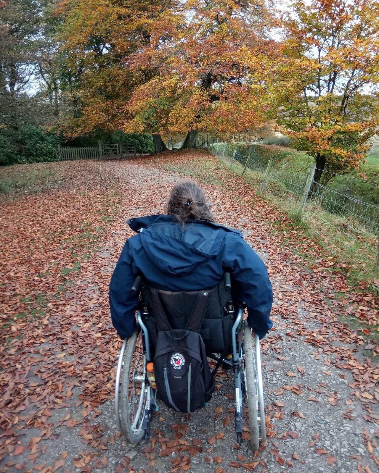 Fatphobia is a Disability Justice Issue: A personal experience of being ...